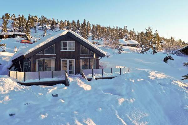 Nissedal, Telemark, Feriehus 59972, 10 personer, Peis/vedovn, Båt